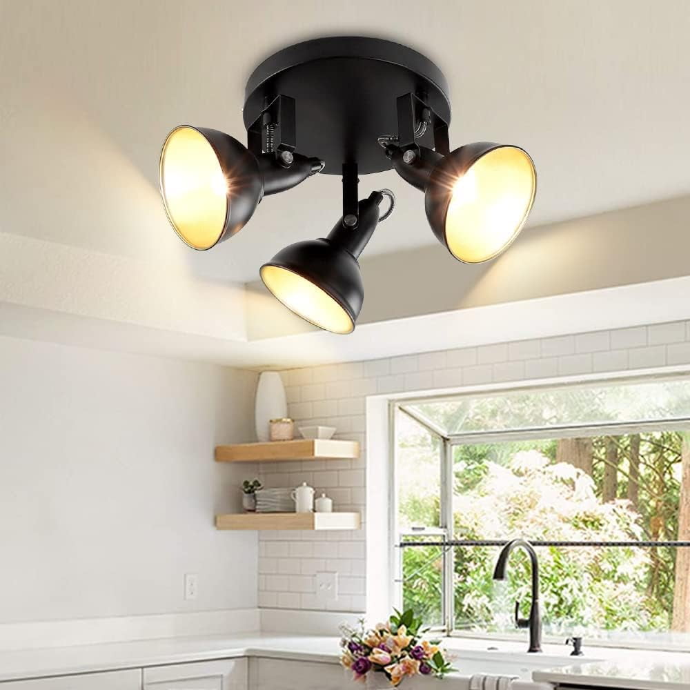 DingLiLighting Industrial Ceiling Spotlight Fixture, Round Flush Mount ...