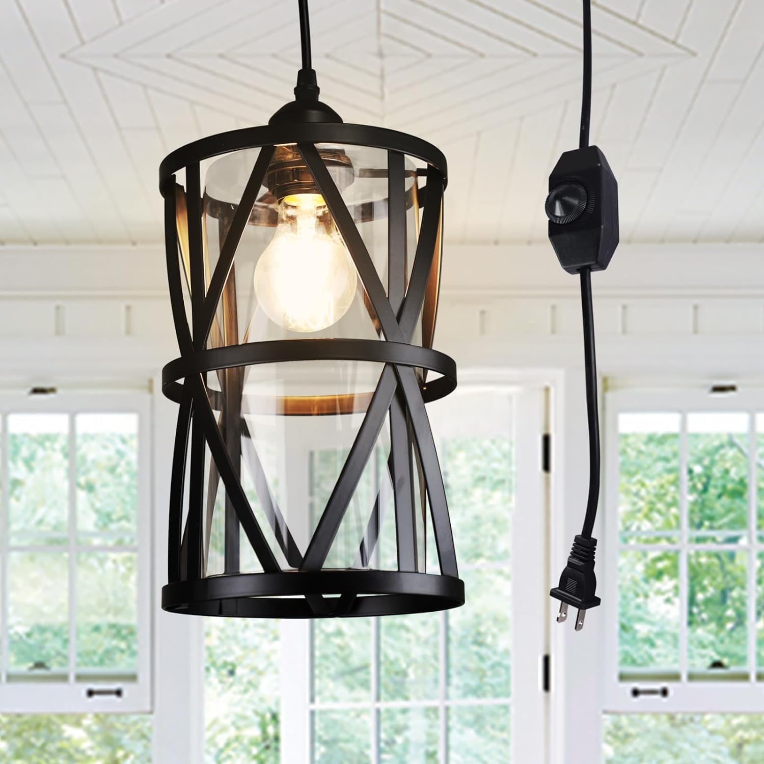 DingLiLighting Industrial Plug in Pendant Light Black Metal Cage Glass ...