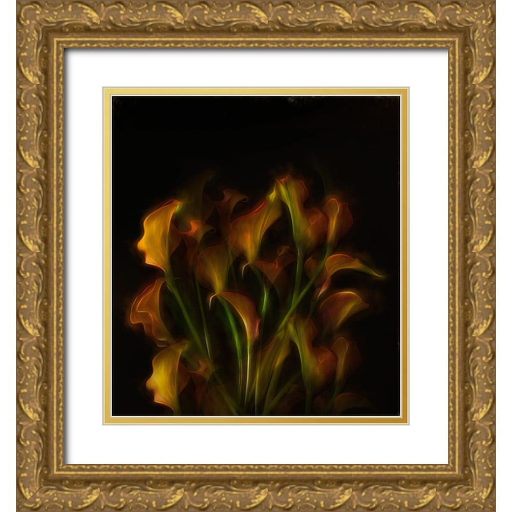 Dingemans, Saskia 12x13 Gold Ornate Wood Framed with Double Matting ...