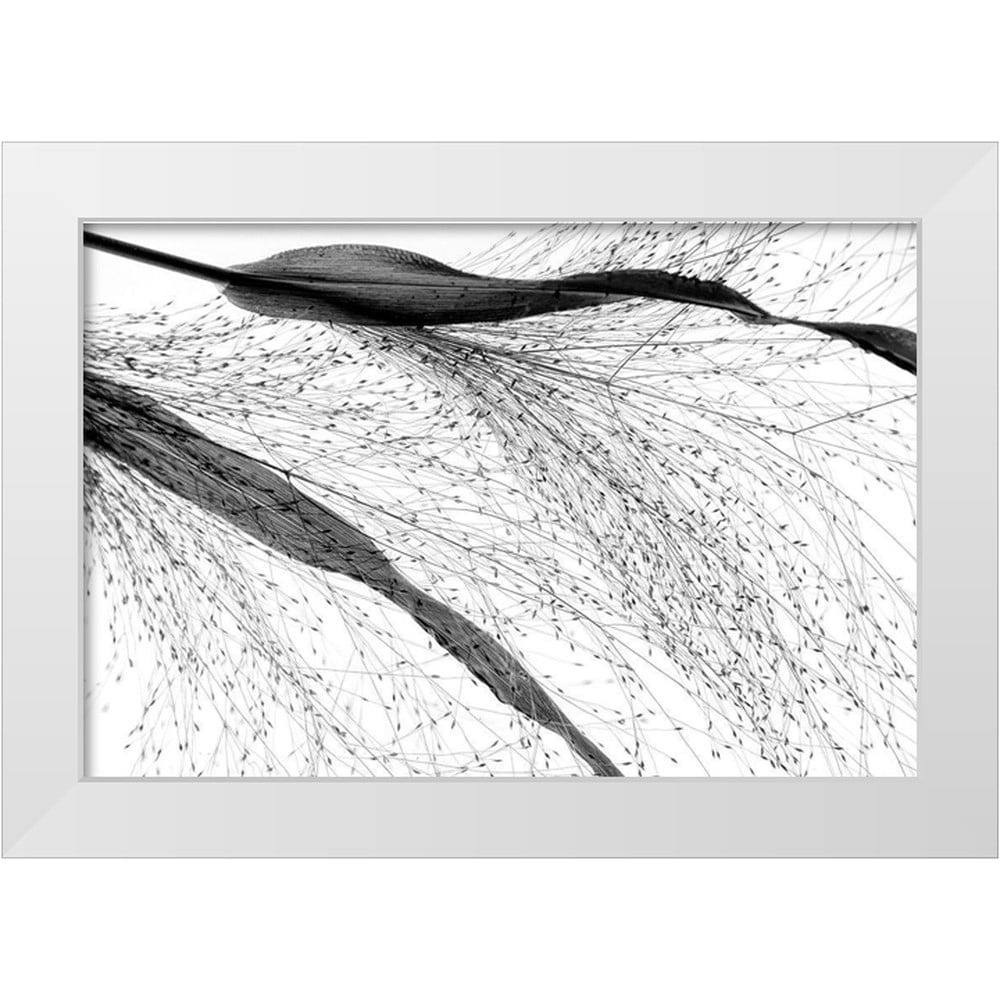 Dingemans, Saskia 14x11 White Modern Wood Framed Museum Art Print ...