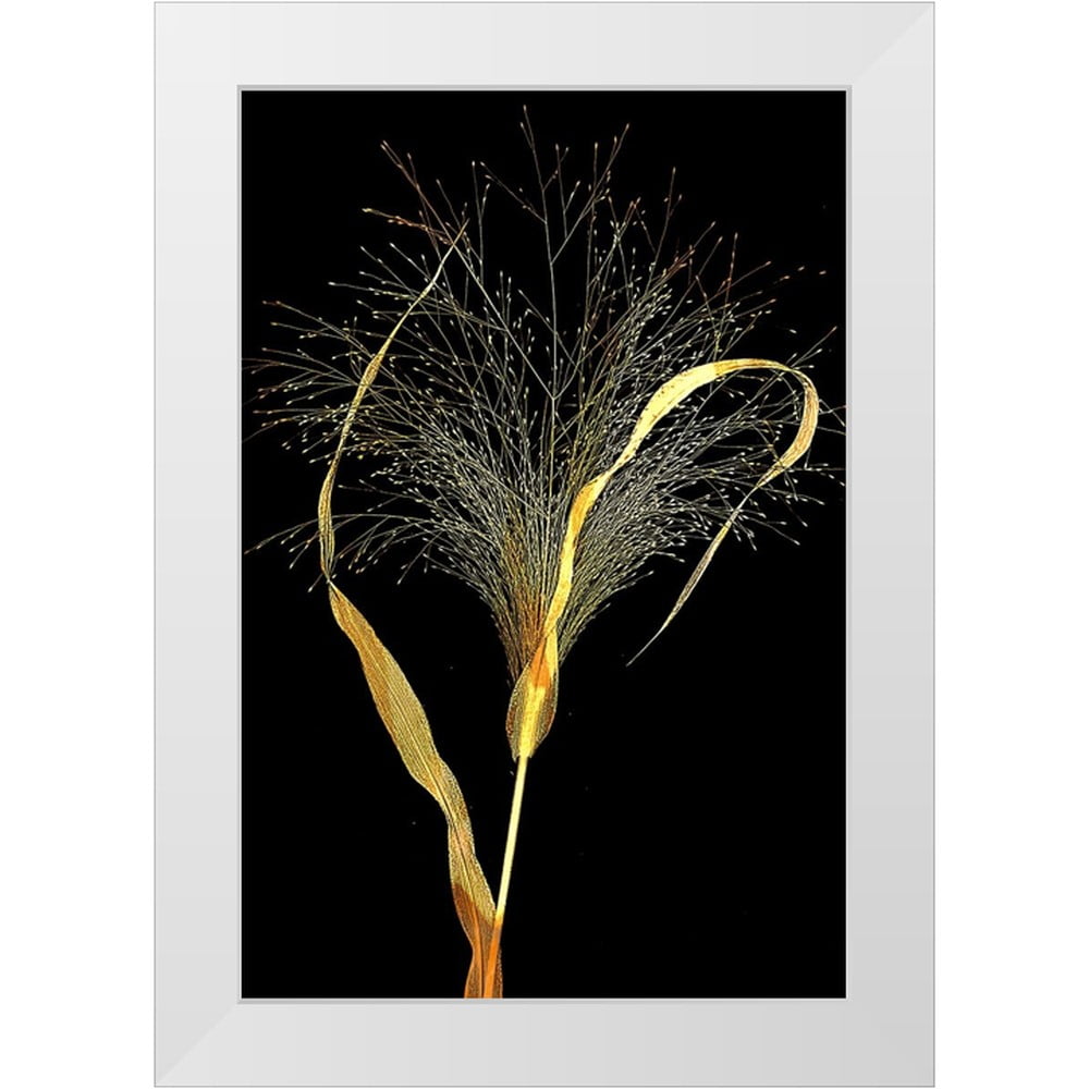 Dingemans, Saskia 17x24 White Modern Wood Framed Museum Art Print ...