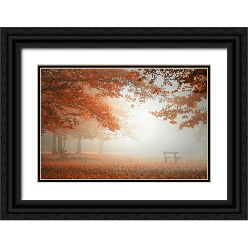 Dingemans, Saskia 18x13 Black Ornate Wood Framed with Double Matting ...