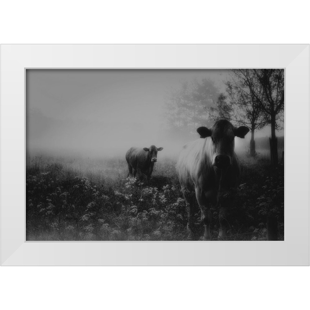 Dingemans, Saskia 18x13 White Modern Wood Framed Museum Art Print ...