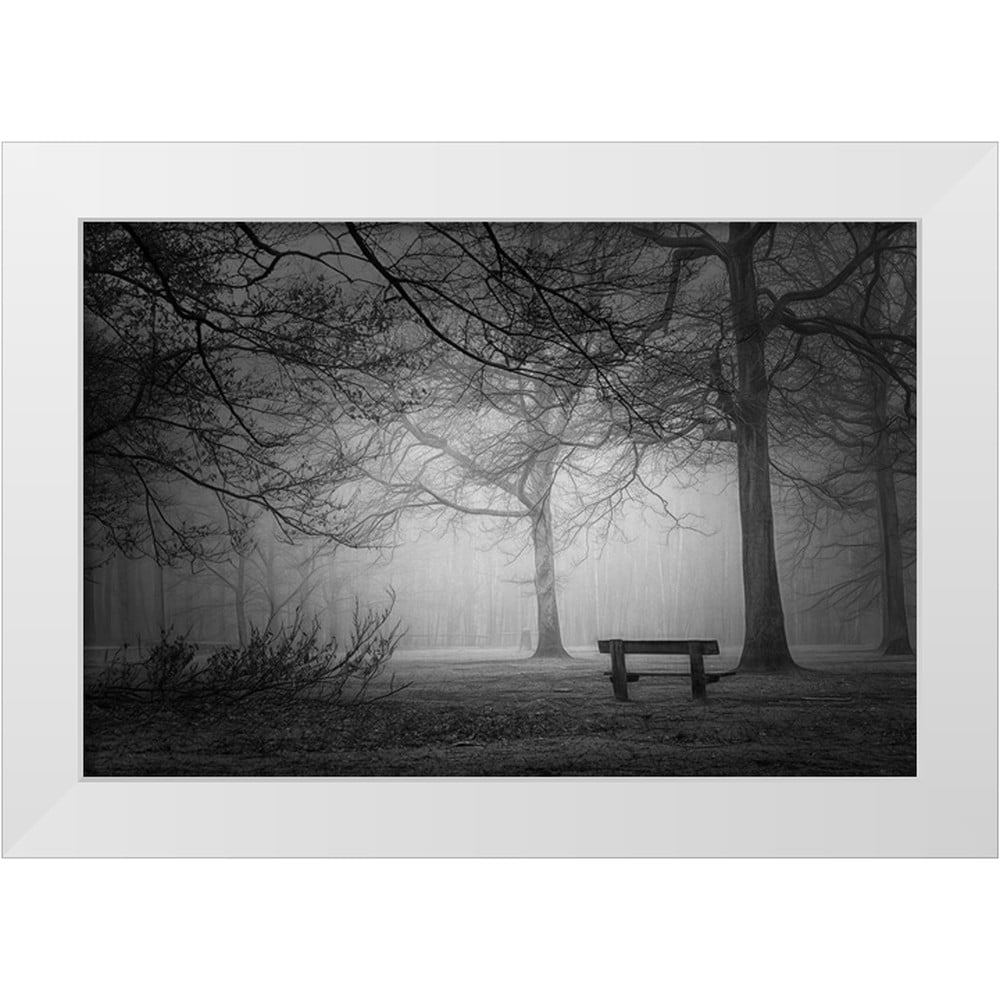 Dingemans, Saskia 18x13 White Modern Wood Framed Museum Art Print ...