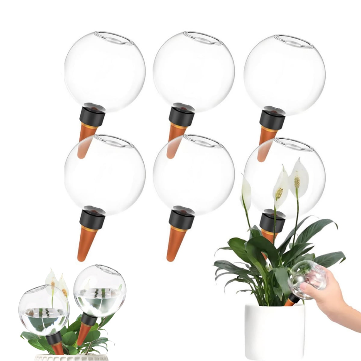 Dingrich 6-Pack Self-Watering Globe, 17oz (500ml) Plant Watering Balls ...
