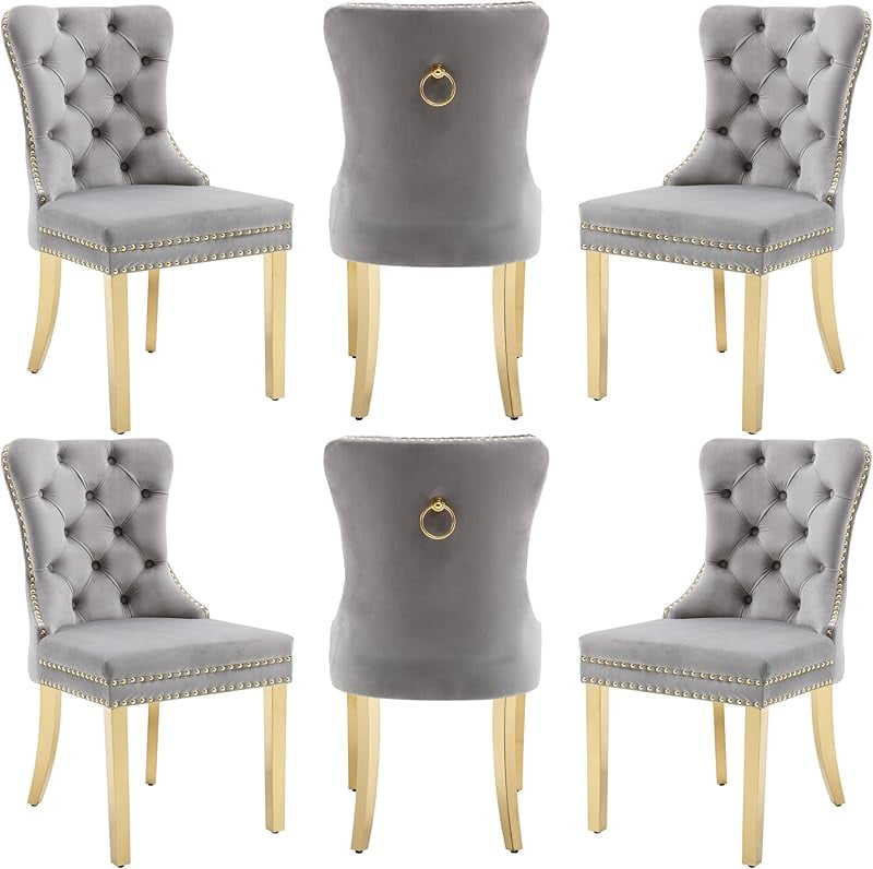 Dining Chairs Set of 2, Nikki Collection Dining Room Chairs with Wood ...