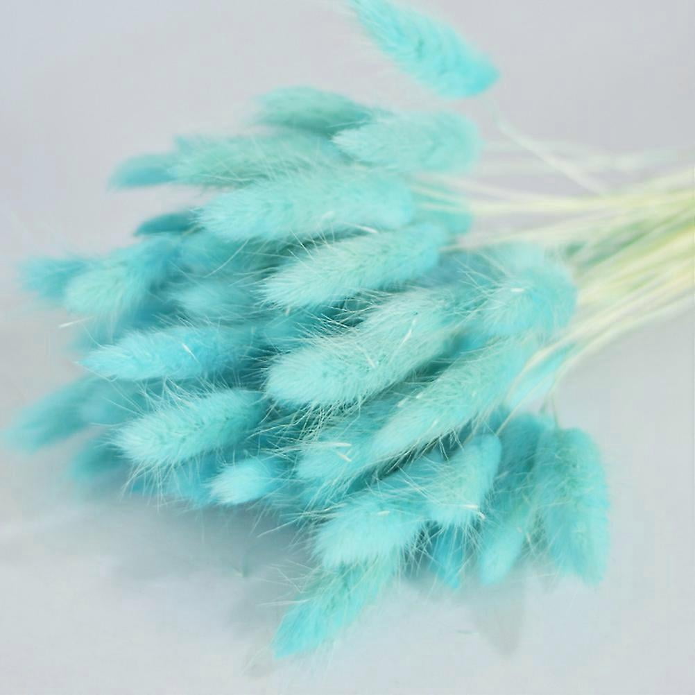 Dining Room Table Decor Bunny Tail Grass Wedding Plant Pick Dried ...