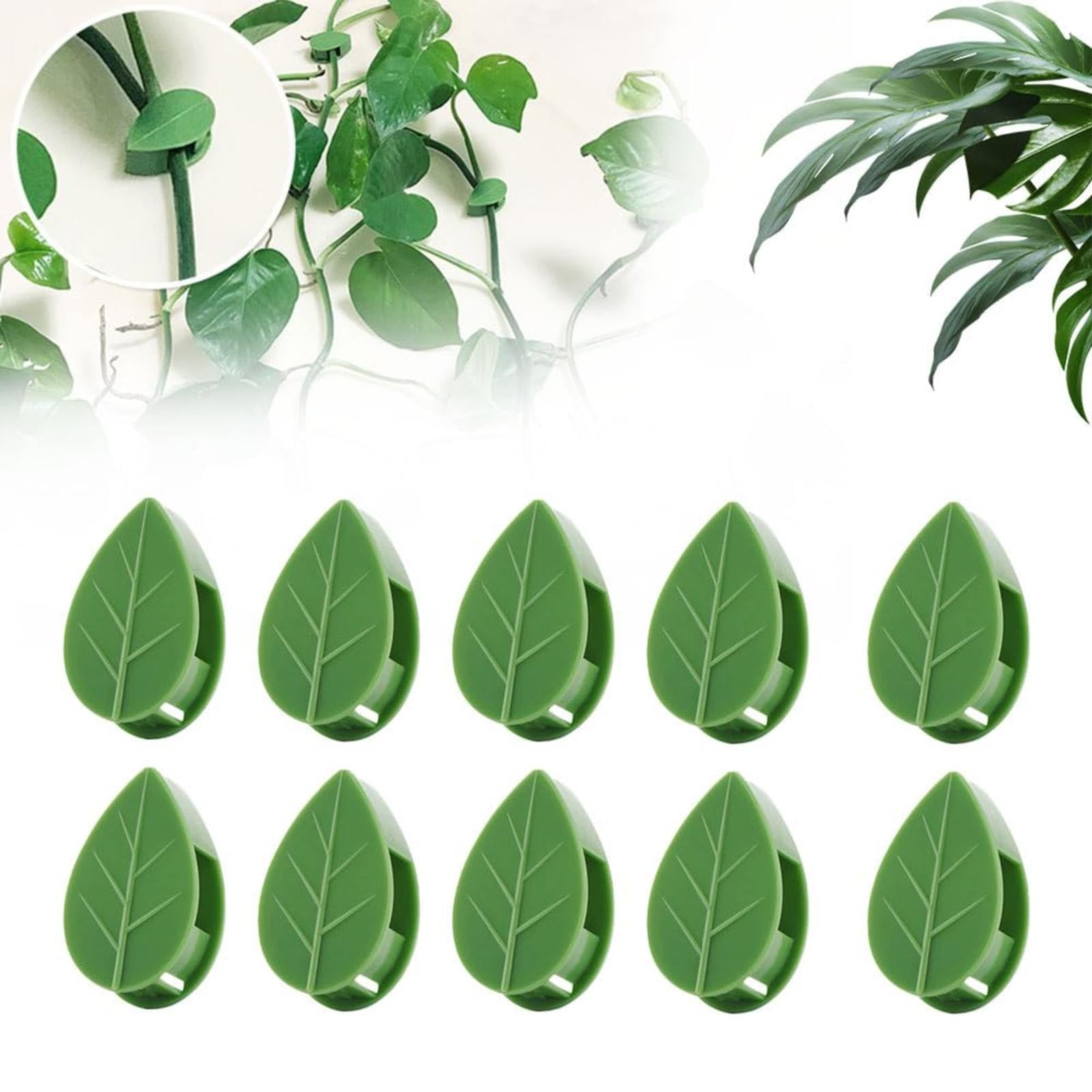 Dinmmgg 100Pcs Plant Climbing Wall Fixture Clips Plastic Plant Clips ...
