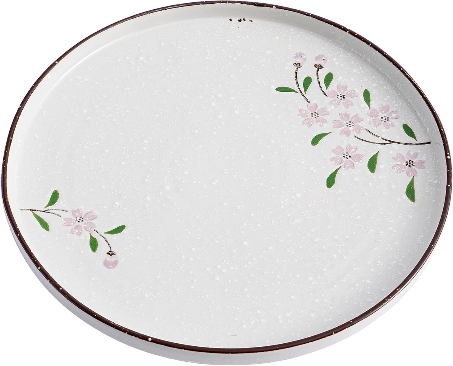 Dinner Plates Ceramic Plate Set - 10" Large Serving Plate Sets - Flat ...