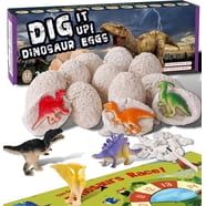 12PCS Dinosaur Digging Fossil Kit with 12 Dinosaur Eggs, brush Tools ...