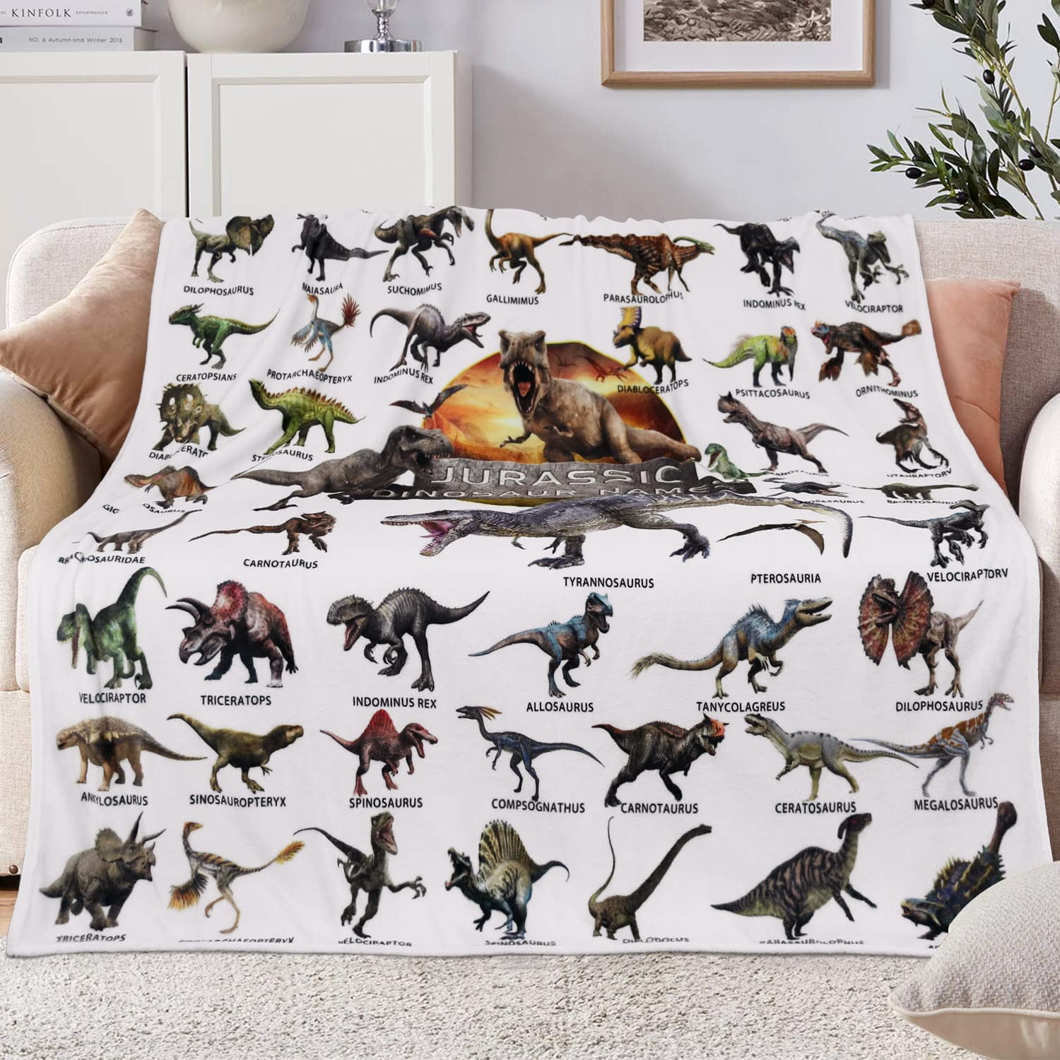 Dinosaur Blanket for Boys - Jurassic Dino World Park Throw Dinosaur ...