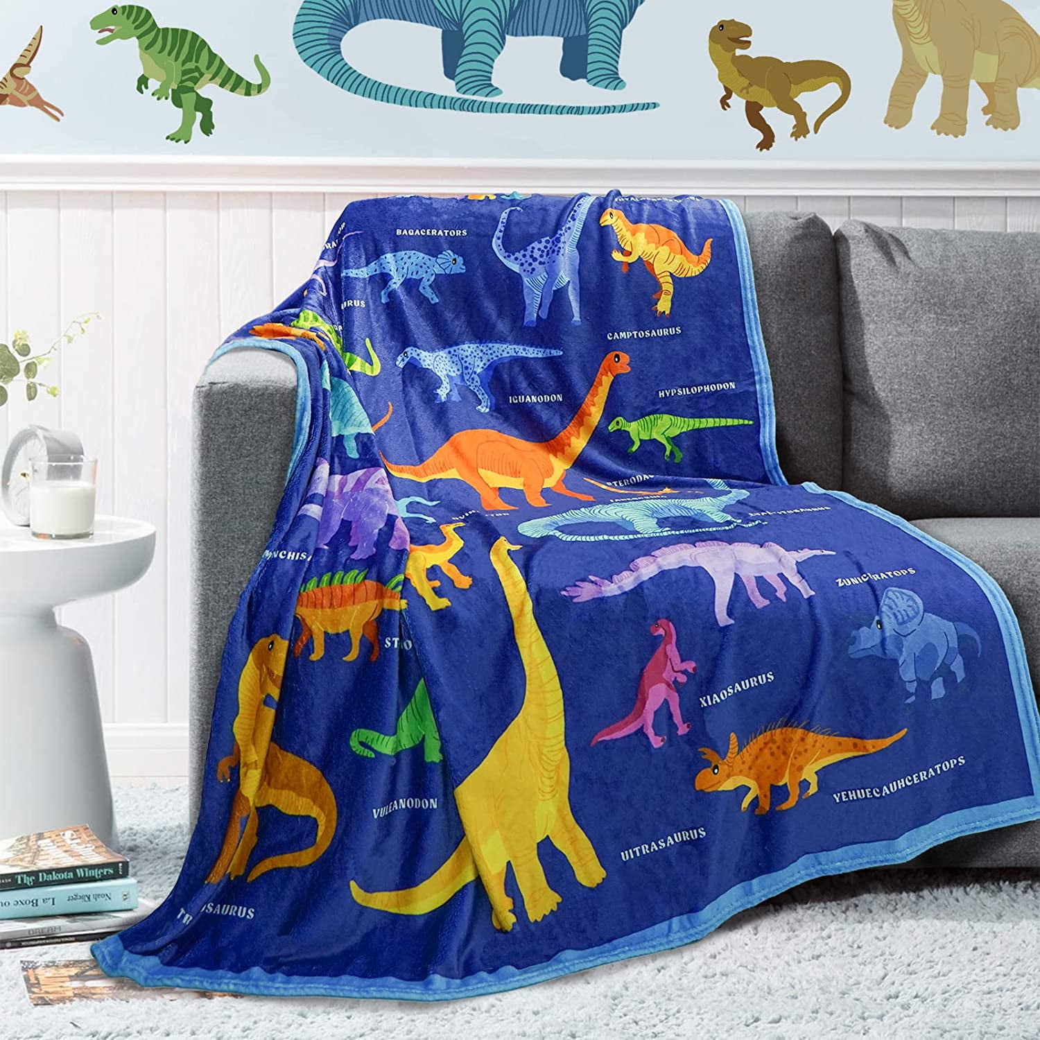Dinosaur Blanket for Boys Kids Teens with Dino Print Throw Blanket Gift ...