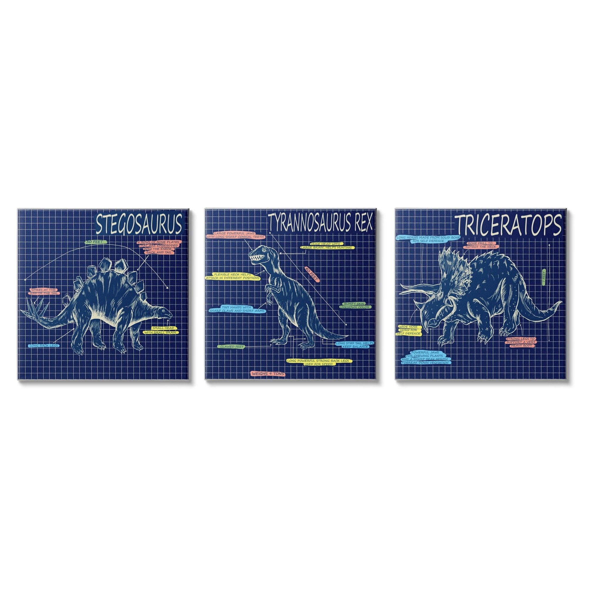 Dinosaur Blueprint Chart Interesting Reptile Facts Animals & Insects ...