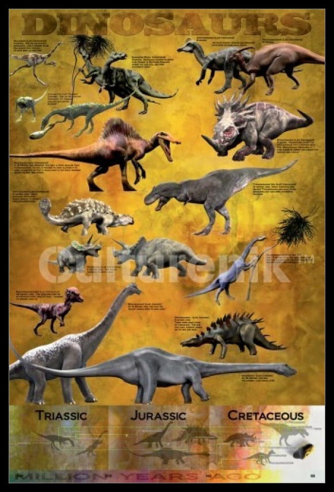 Dinosaur Chart Laminated & Framed Poster (36 X 24) - Walmart.com