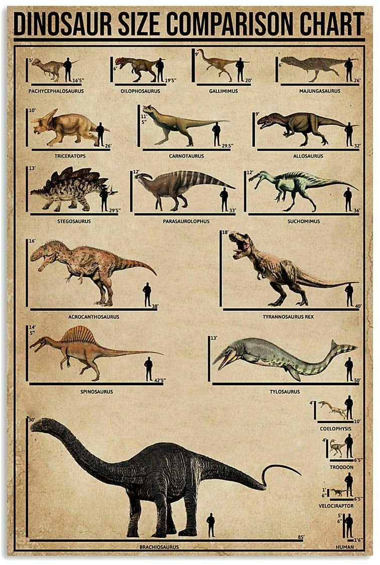 Dinosaur Comparison Chart Metal Aluminum Sign Retro Kitchen Garden ...