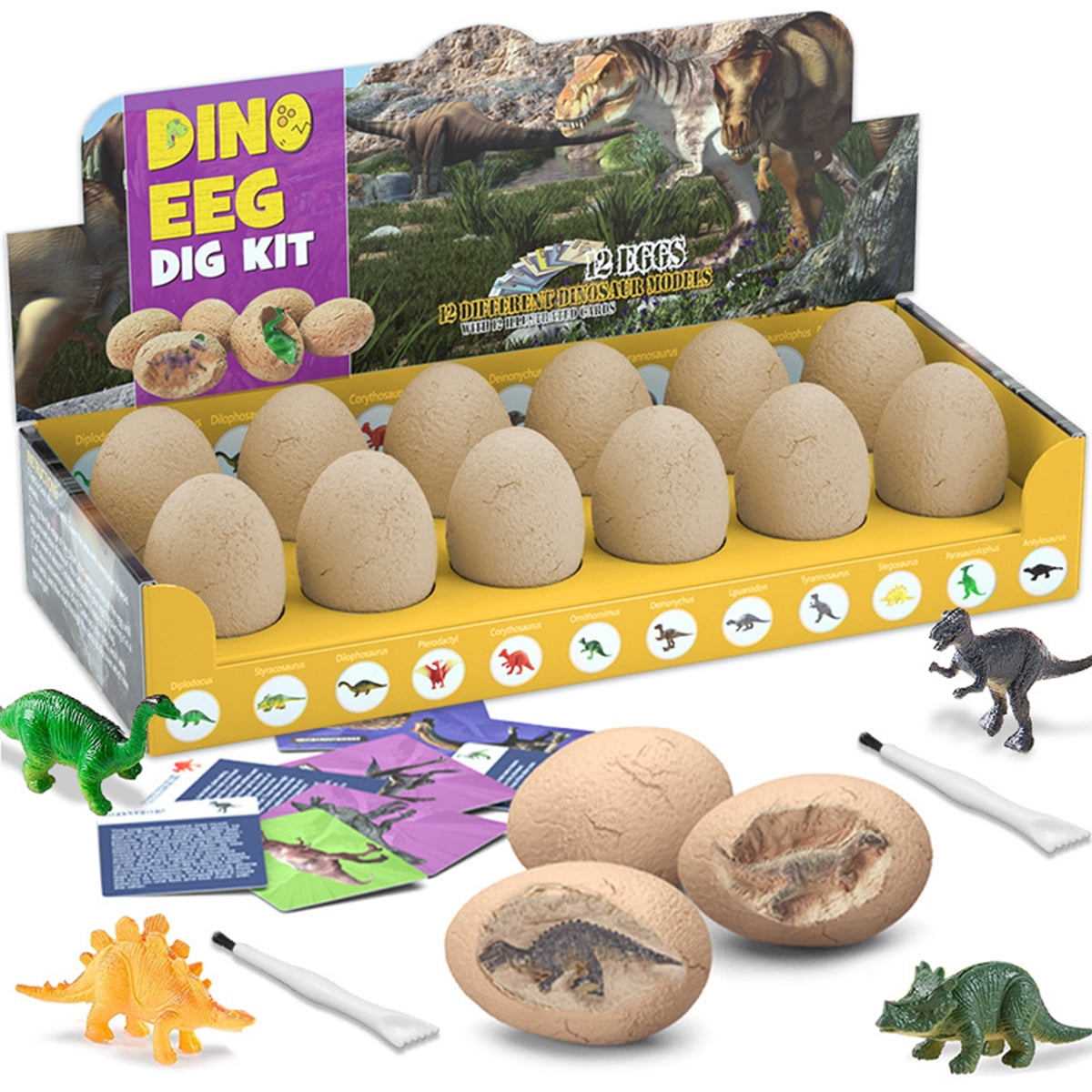 Dinosaur Digging Fossil Kit with 12 Dinosaur Eggs, 12 x Brushes and ...