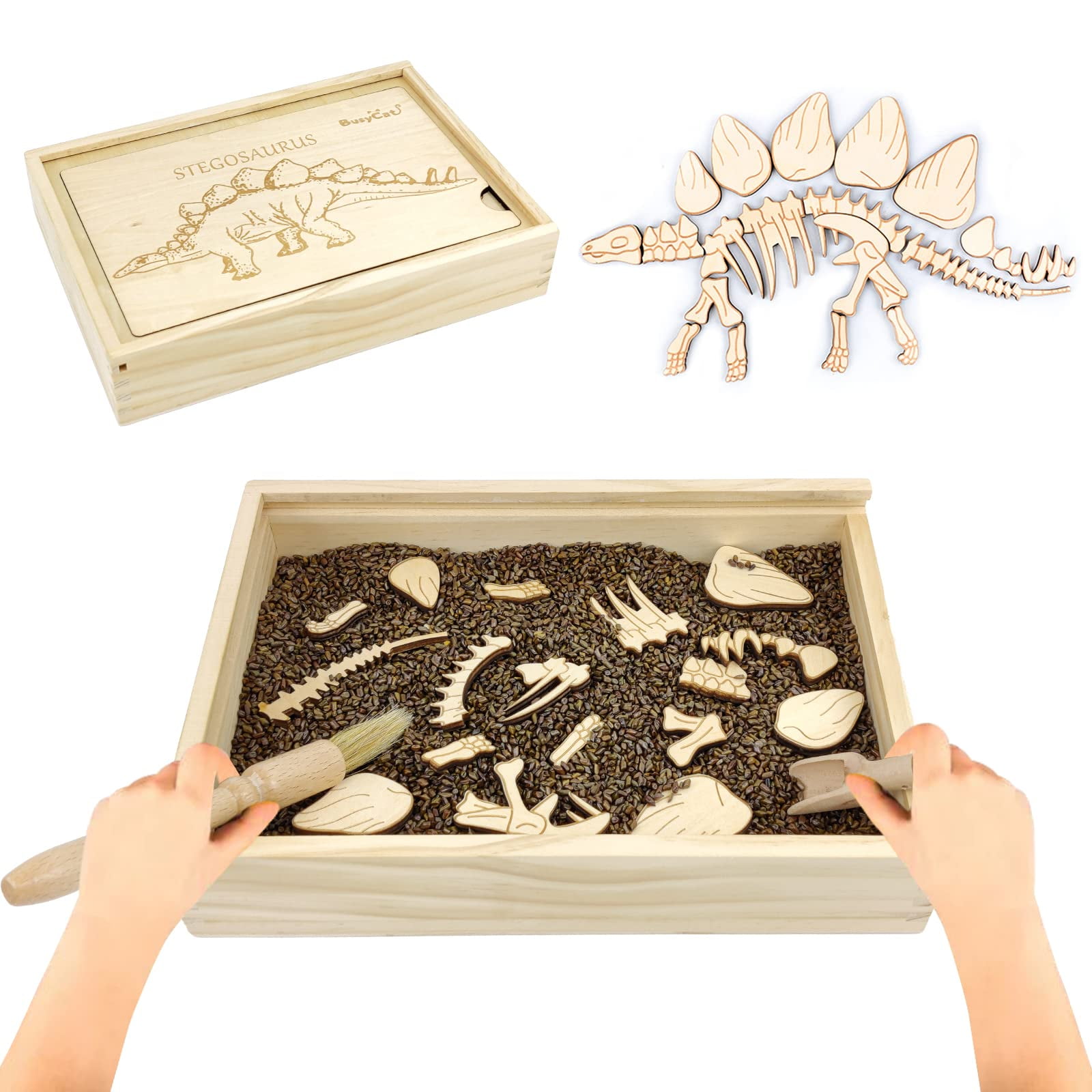 Dinosaur Excavation Archaeology Dig Kit for Kids, Fossil Explore ...