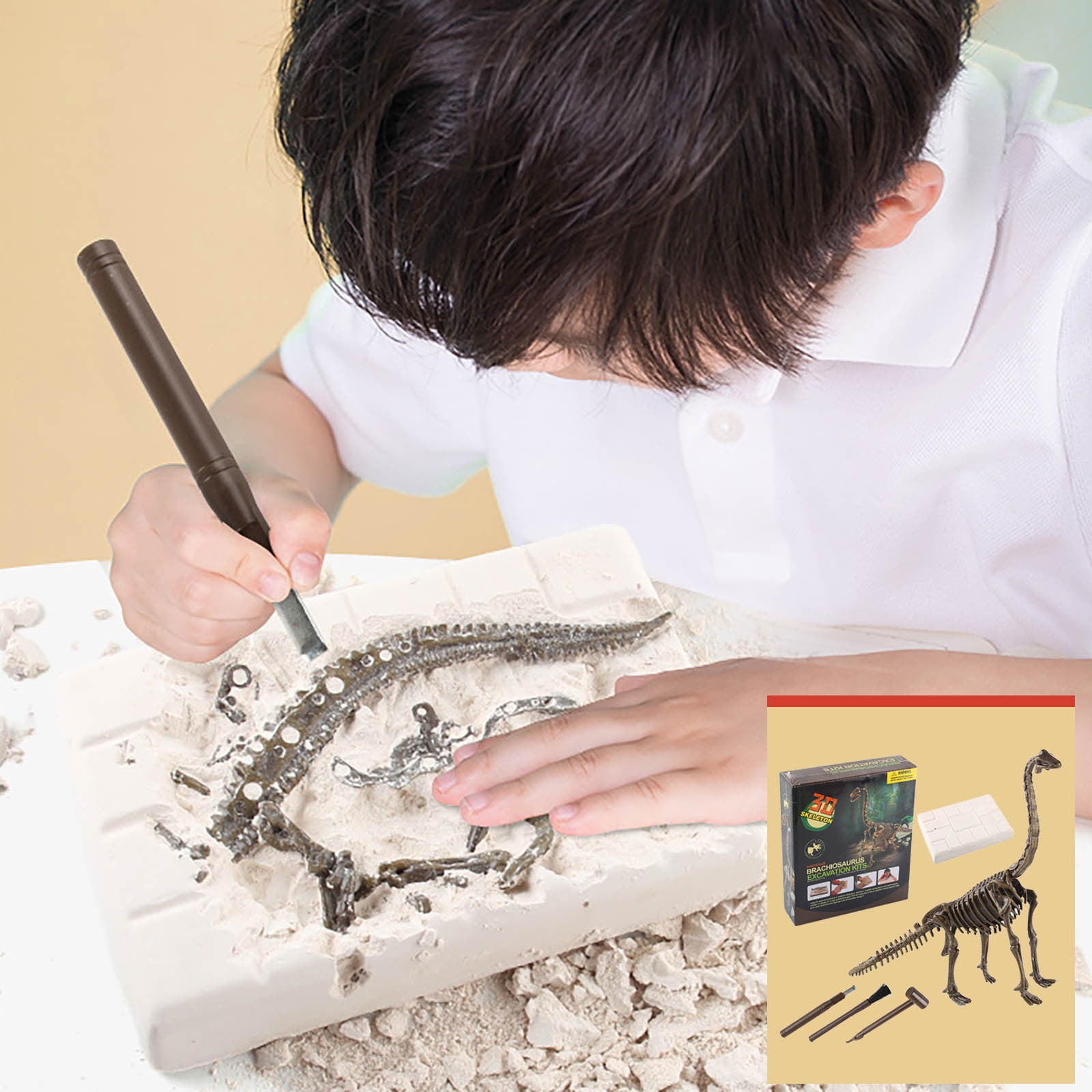Dinosaur Excavation Kit, Hand Excavated Luminous Dinosaur Skeleton ...