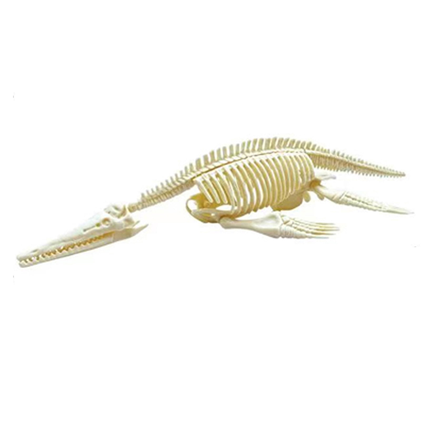 Dinosaur Excavation Kit Simulation Archaeology Digging Up Fossils ...