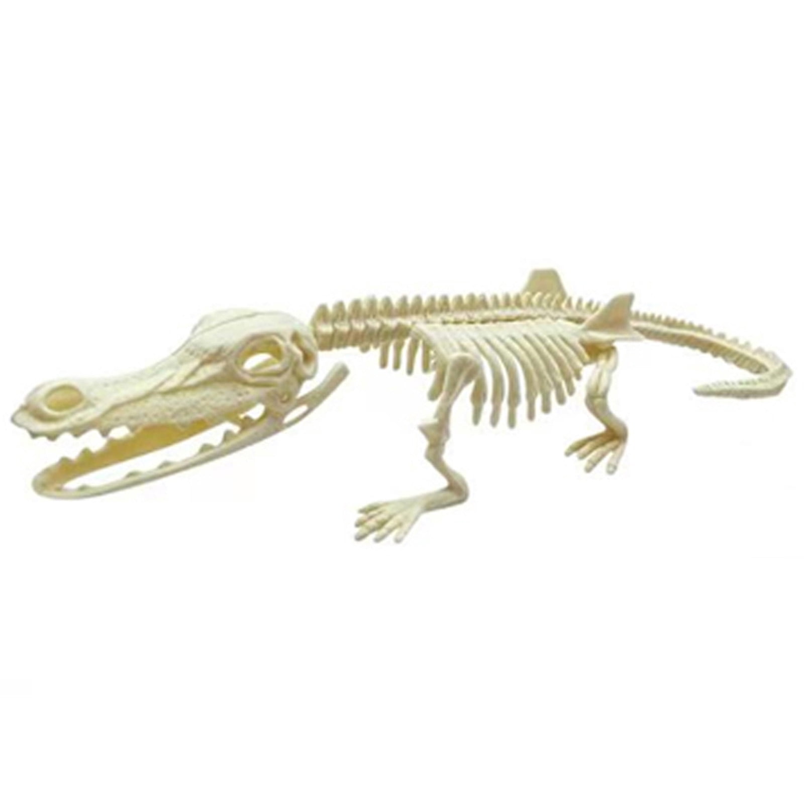 Dinosaur Excavation Kit Simulation Archaeology Digging Up Fossils ...