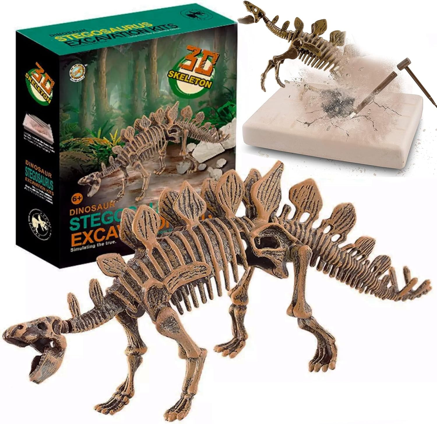 Dino Stegosaurus Dinosaur Skeleton 3D Fossil Bones Excavation, Science ...