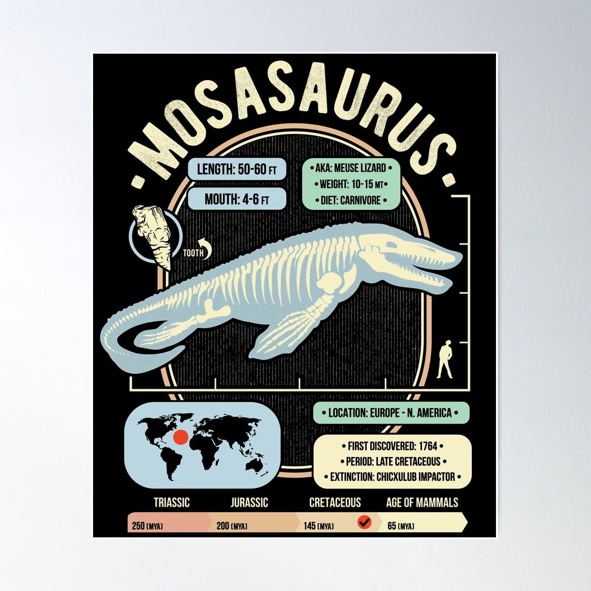 Dinosaur Facts - Mosasaurus Science & Anatomy Gift Poster Wall Art ...