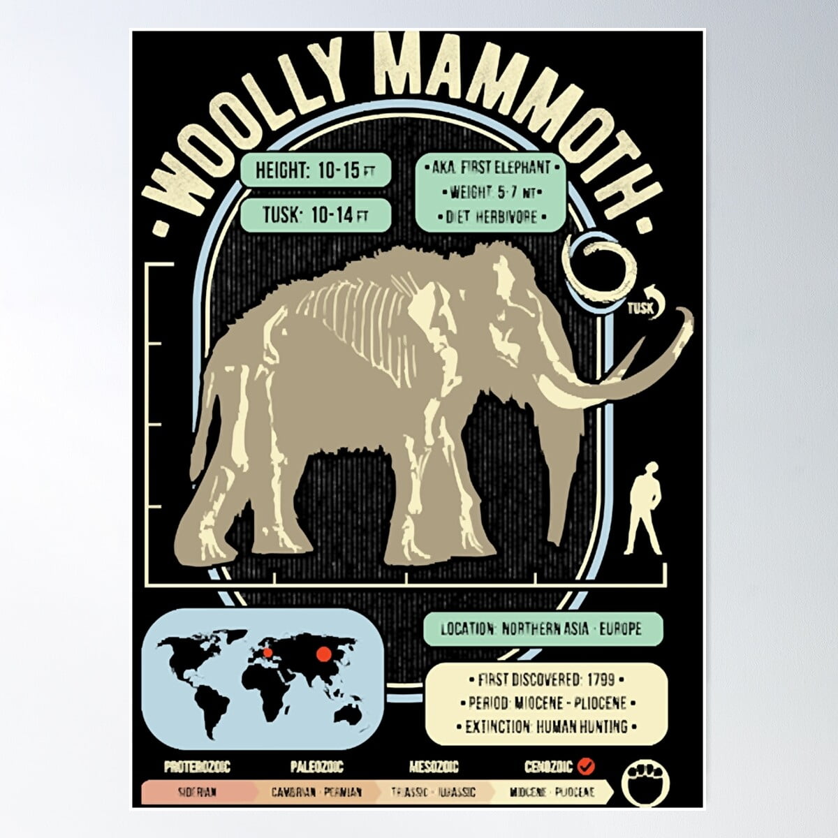 Dinosaur Facts - Woolly Mammoth Science & Anatomy Gift Poster Wall Art ...