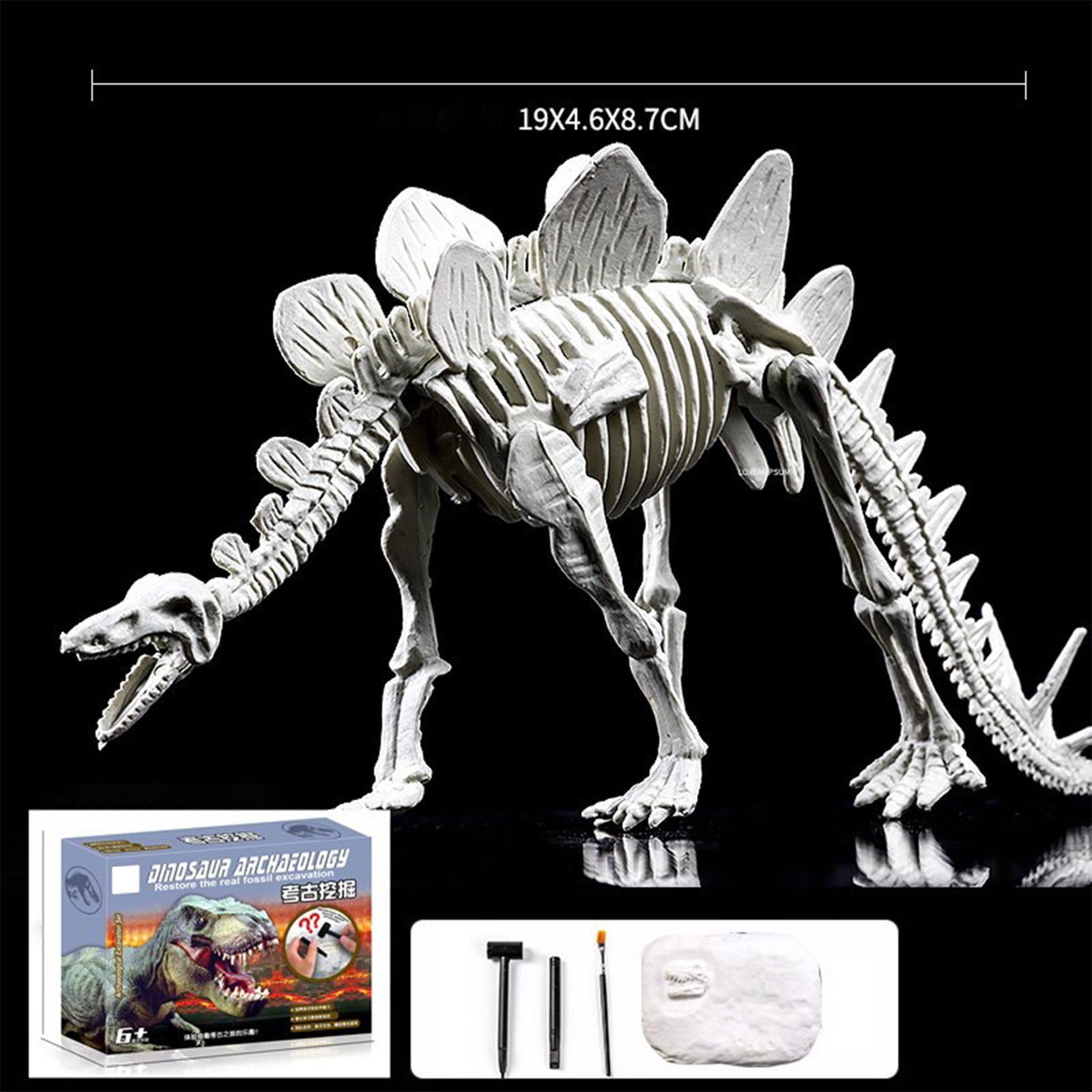 Dinosaur Fossil Excavation Kit, 3d Skeleton Puzzle Display Model ...