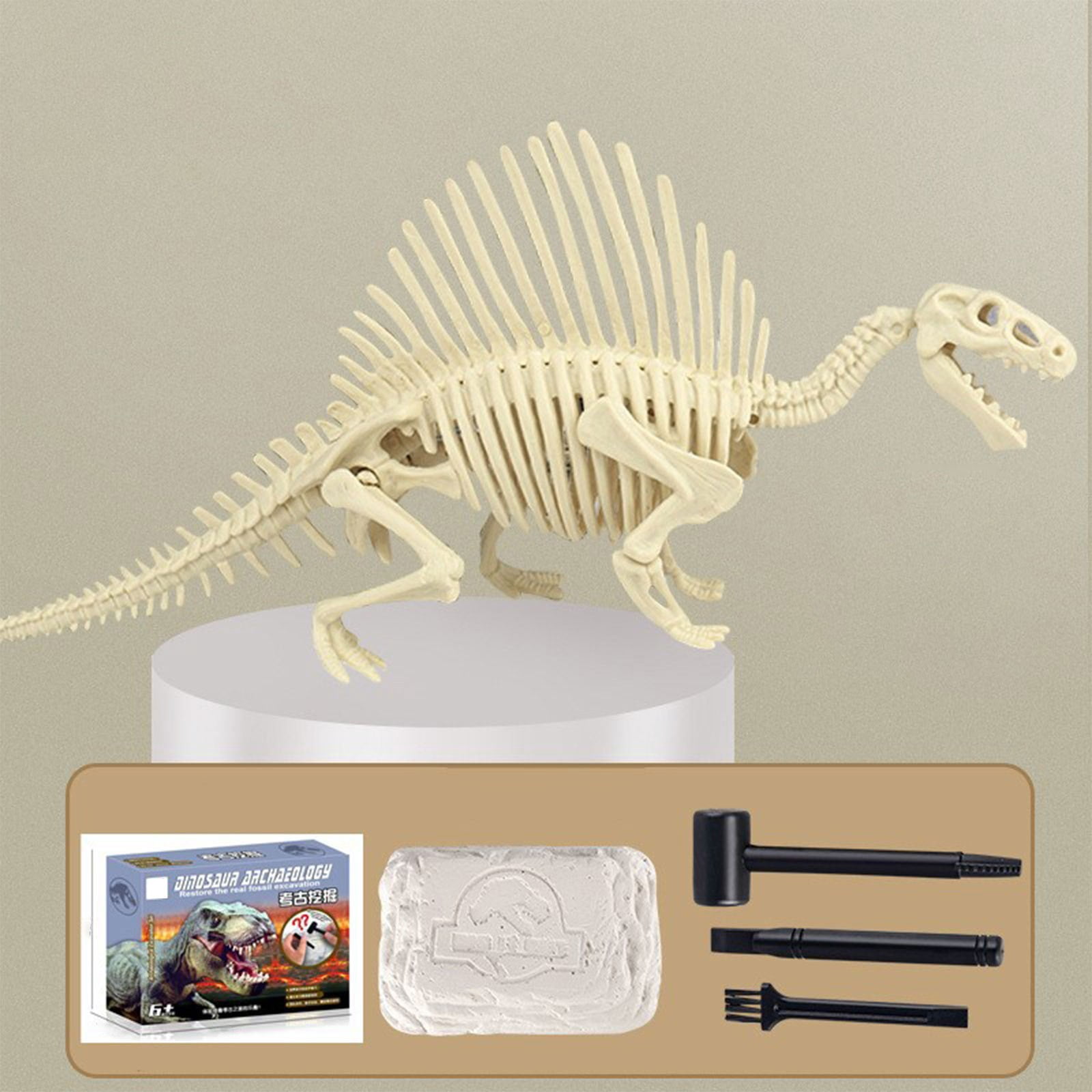 Dinosaur Fossil Excavation Kit for Kids - Spinosaurus - like Skeleton ...