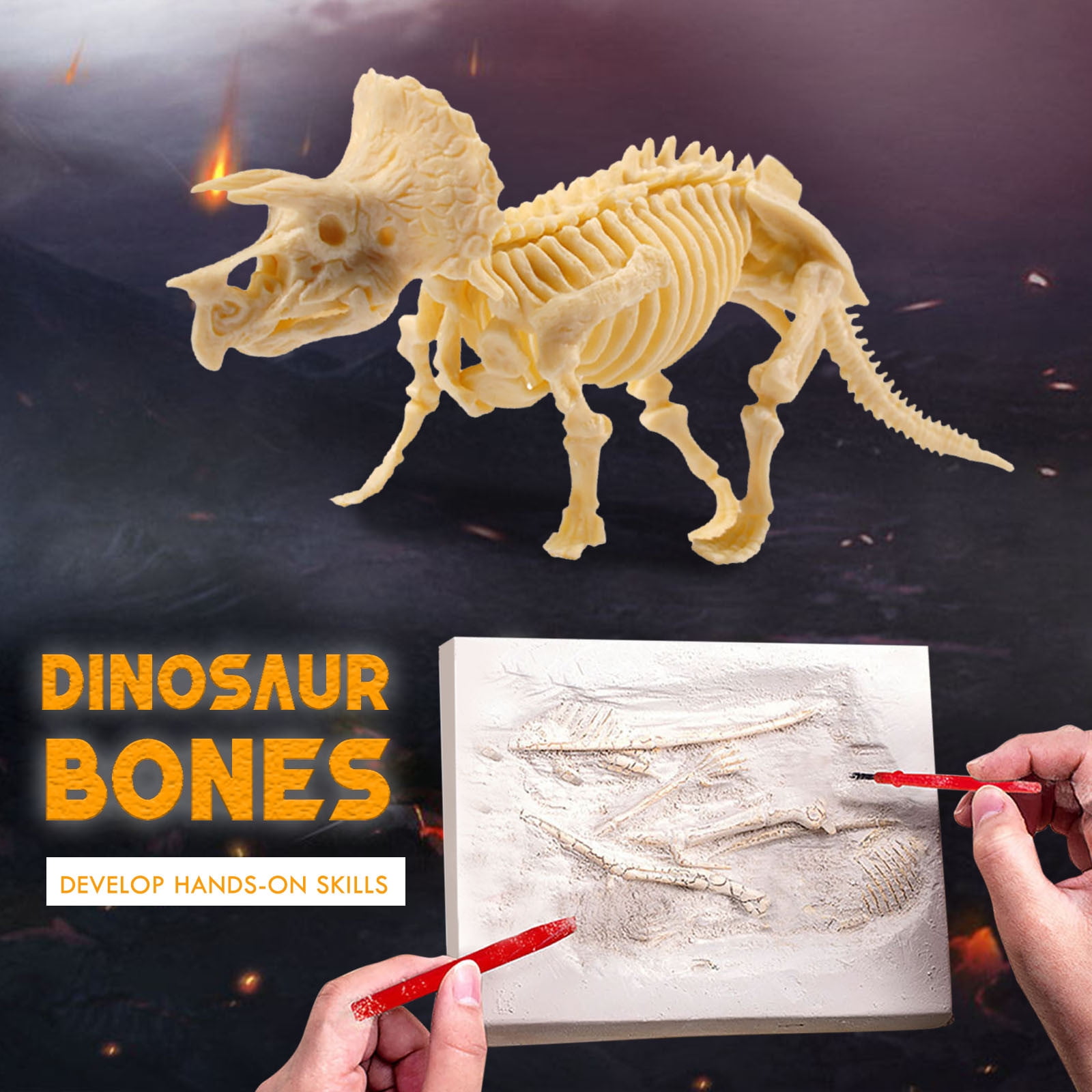 Dinosaur Fossil Skeleton - Assorted Plastic Dino Figure Bones for Kids ...