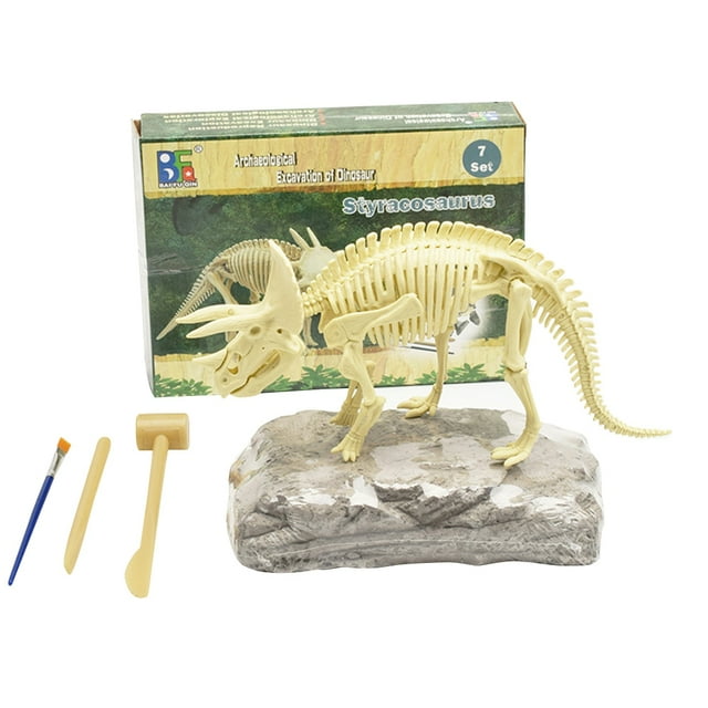 Dinosaur Fossil Skeleton Excavation Dig up Kit DIY Assembly Educational ...