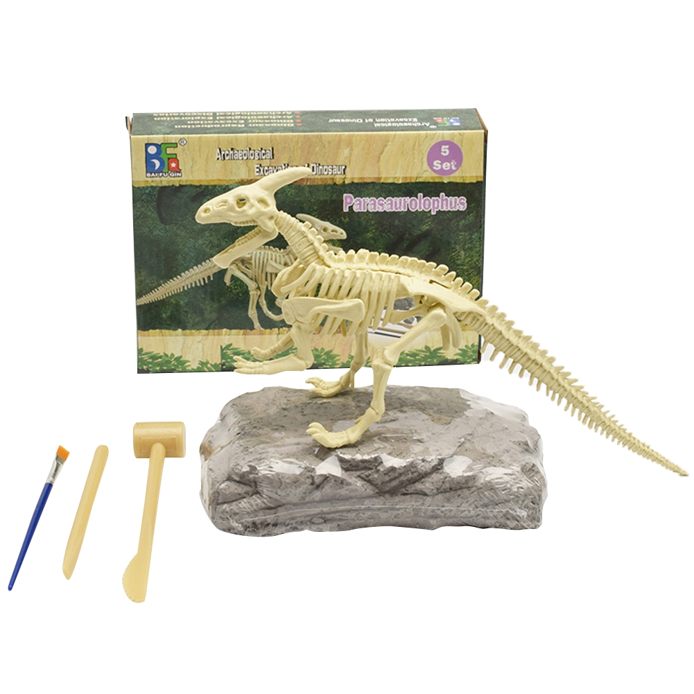Dinosaur Fossil Skeleton Excavation Dig up Kit DIY Assembly Educational ...