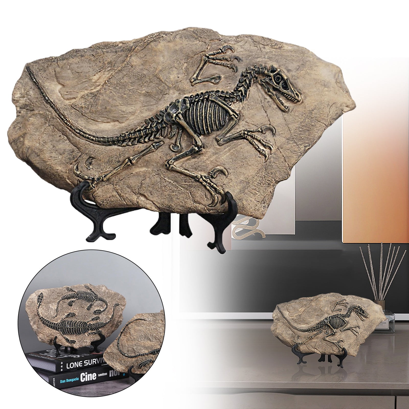 Dinosaur Fossil Tyrannosaurus Rex - Dinosaur Statues Home Decorations ...