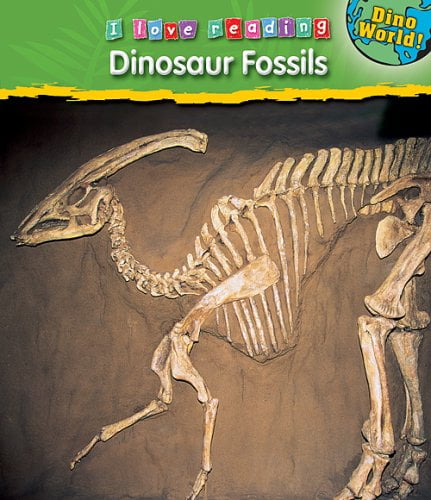 Pre-Owned Dinosaur Fossils (Library Binding) 1597165557 9781597165556 ...