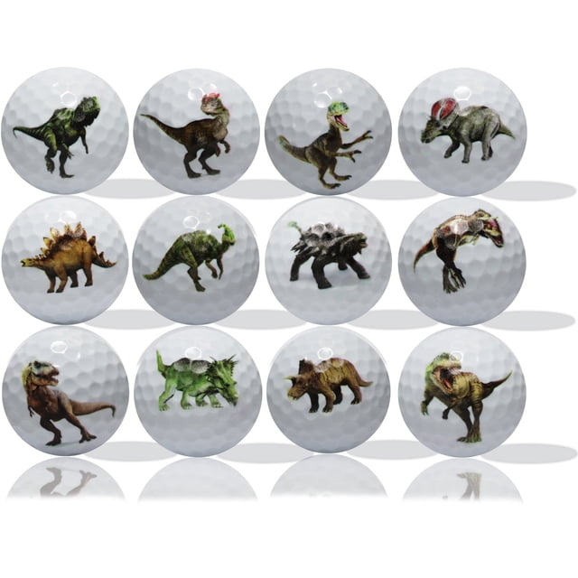 Dinosaur Golf Balls 12 different designs with Full color Photo Imprint ...