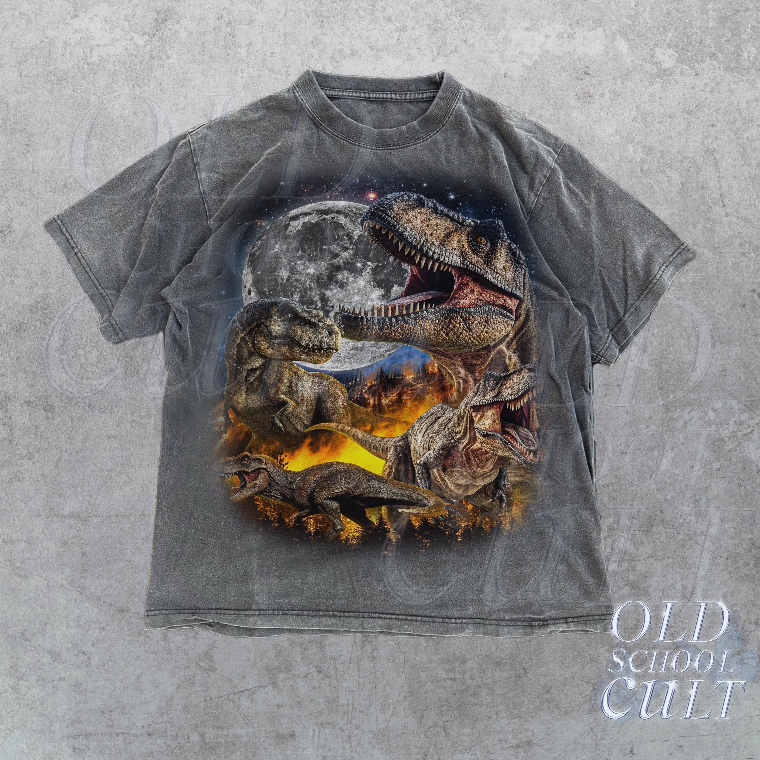 Dinosaur Graphic T-Shirt, Retro 90s Style T-Rex Dino T-Shirt, Washed ...