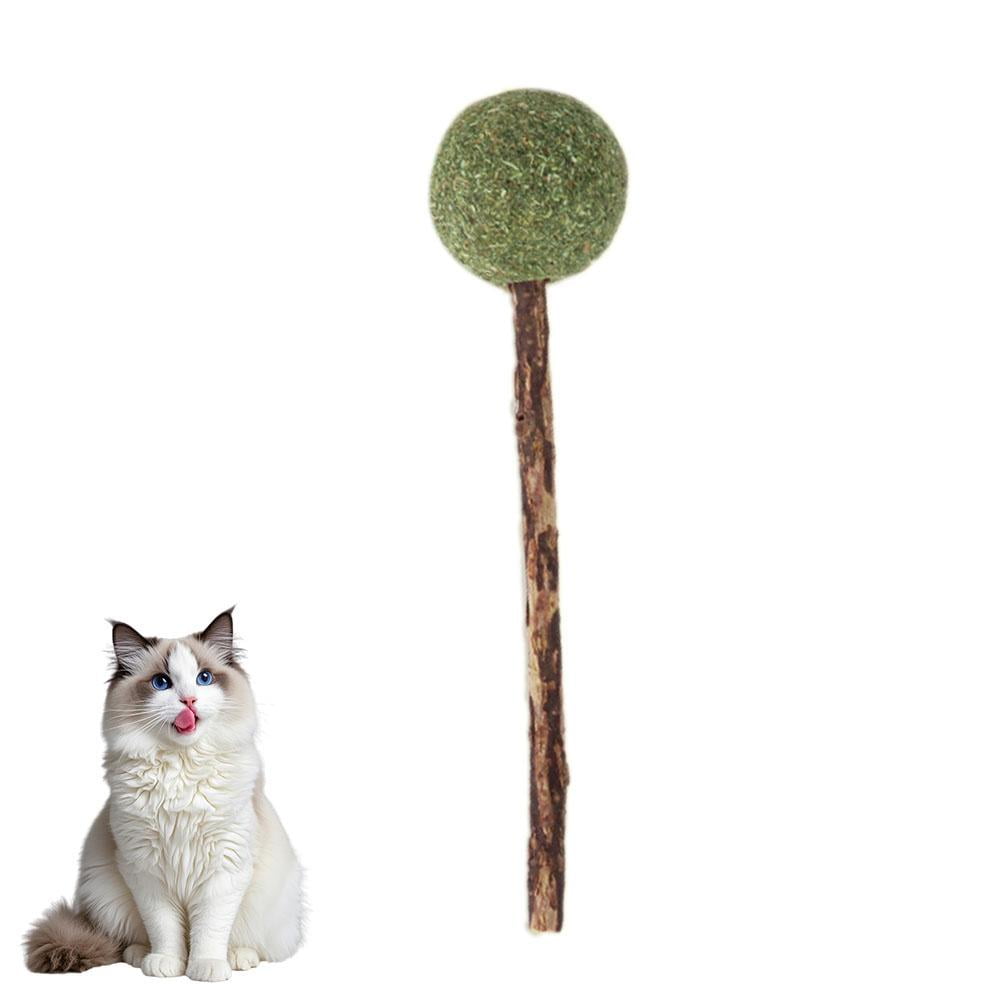 Dinosaur Holder Robot Candy Dispenser for Cats,Cat Chew Toys,Wooden ...