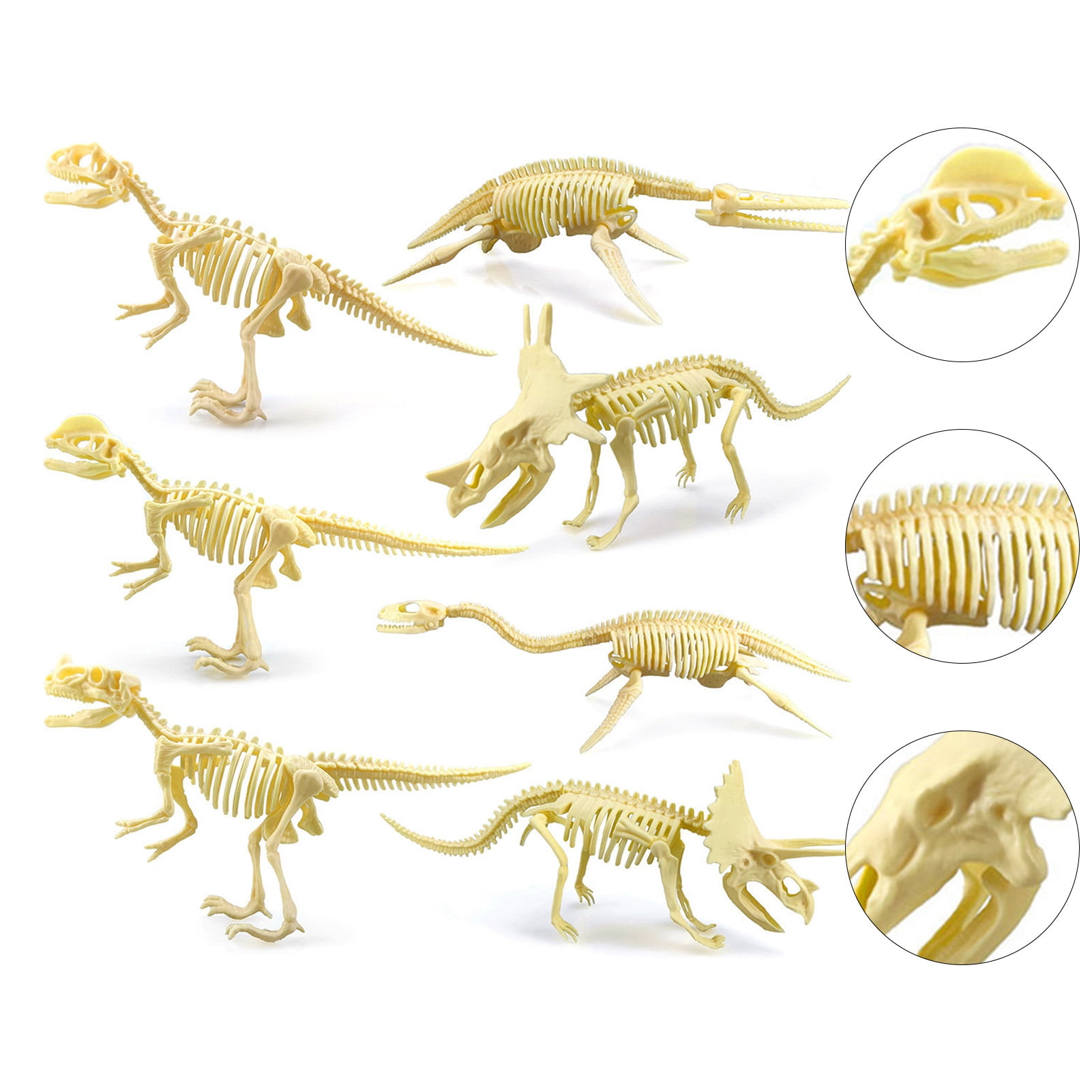 Dinosaur Model Creative Collectible Detailed Archeological Dinosaur ...