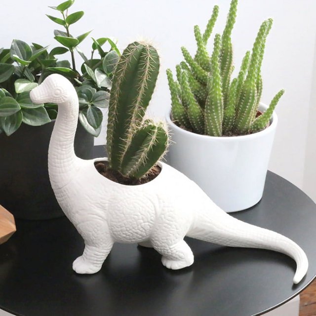 Dinosaur Planter Pot for Succulents | Animal Planter | Succulent ...