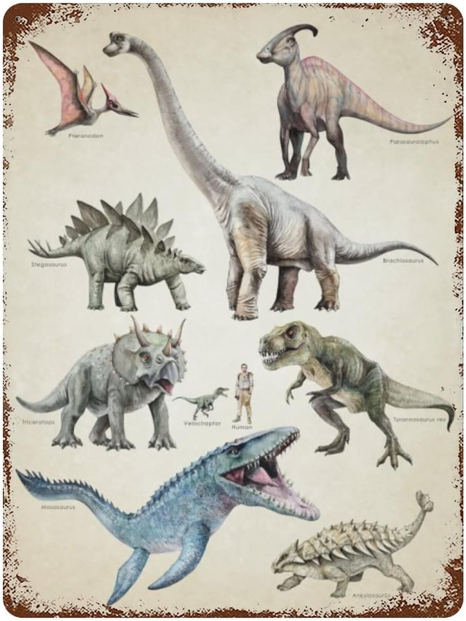 Dinosaur Poster Popular Science Children Education Knowledge Art Plaque ...