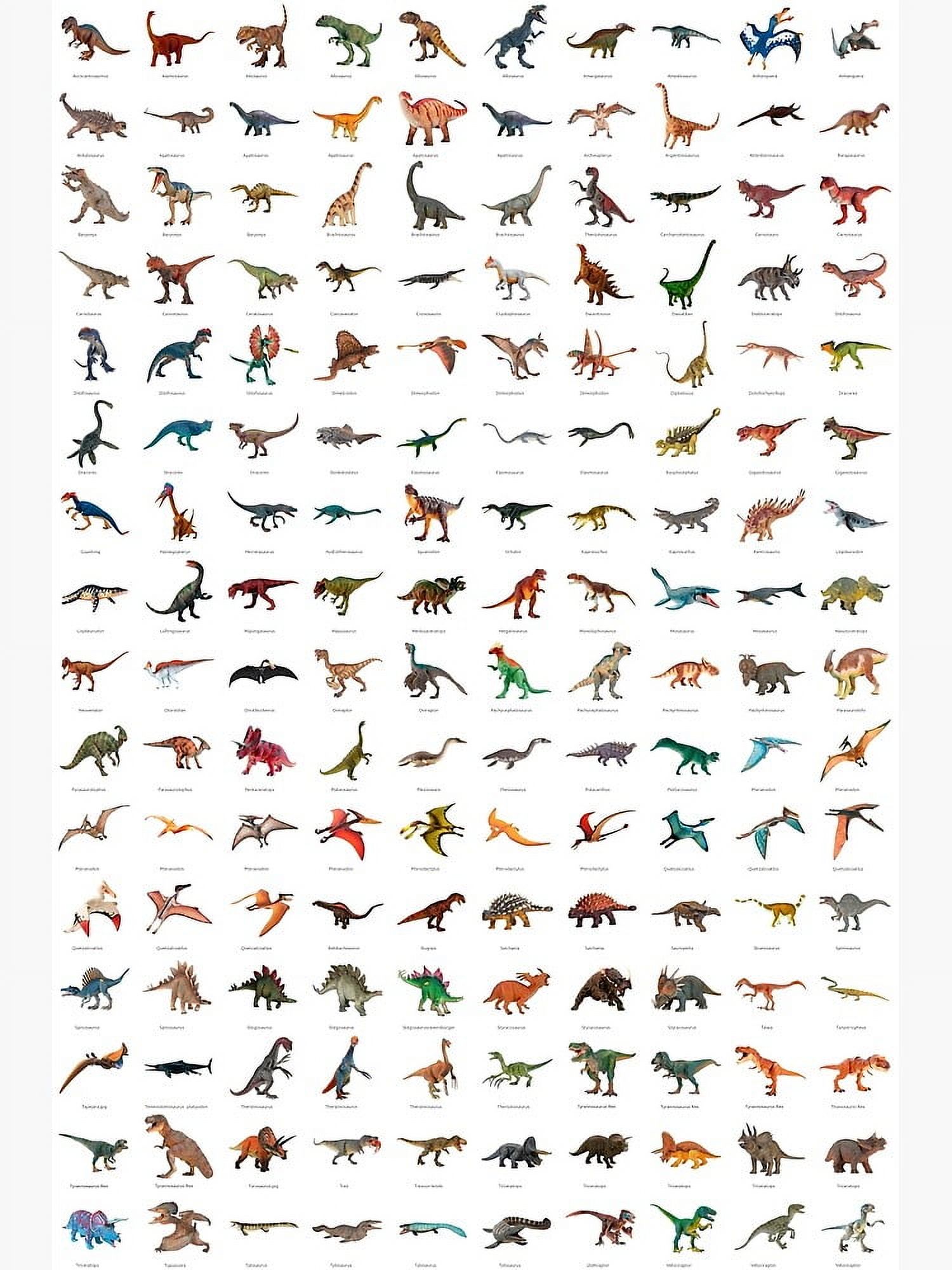 Dinosaur Poster (with names) Poster Framed-unframed - Walmart.com