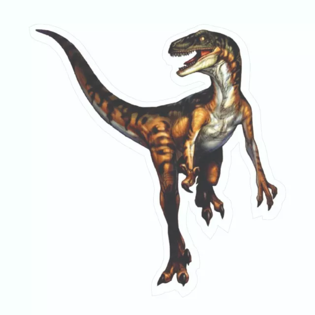 Dinosaur Sticker, Velociraptor Decal, Sticker Phone Decal Water Bottle ...