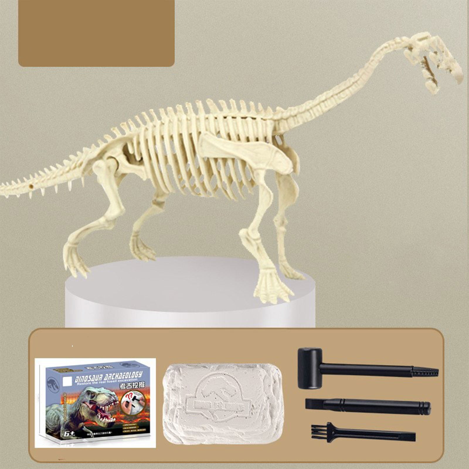 Dinosaur Toy Baby Toy Dinosaur Archaeology Excavation Kit for Kids ...