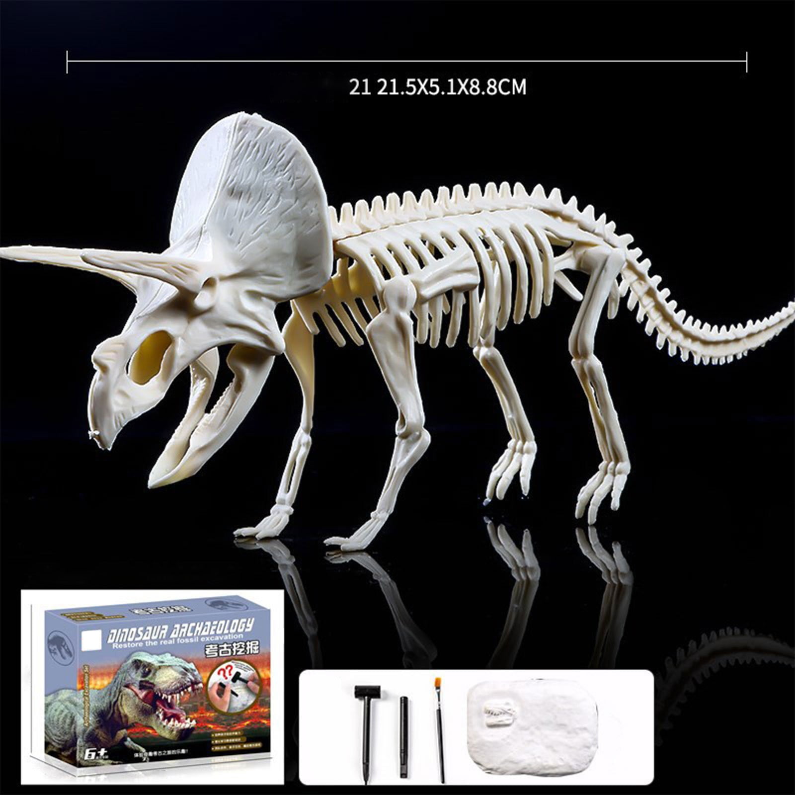 Dinosaur Toy Baby Toy Dinosaur Archaeology Excavation Kit for Kids ...