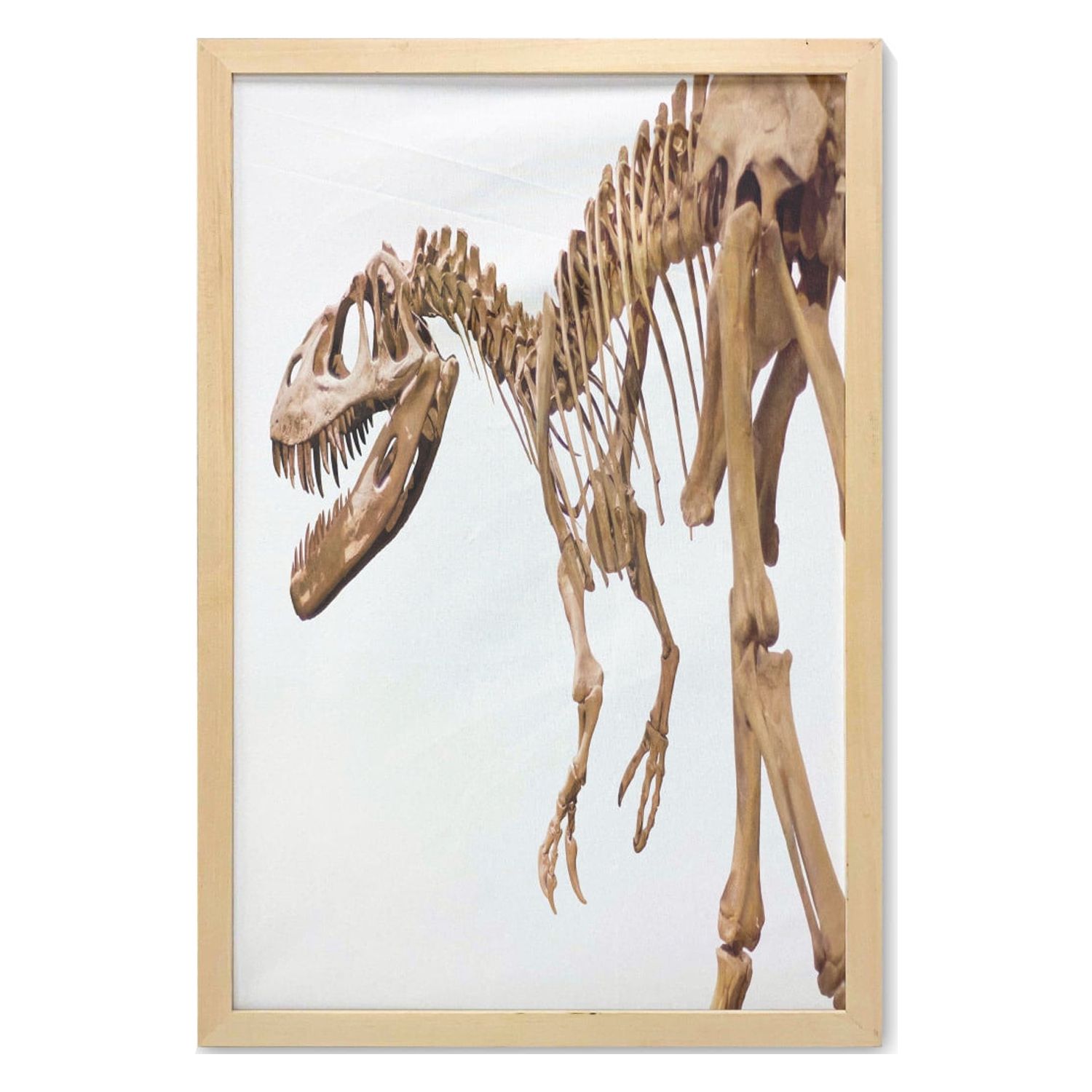 Dinosaur Wall Art with Frame, Archeology Museum Theme Wild ...