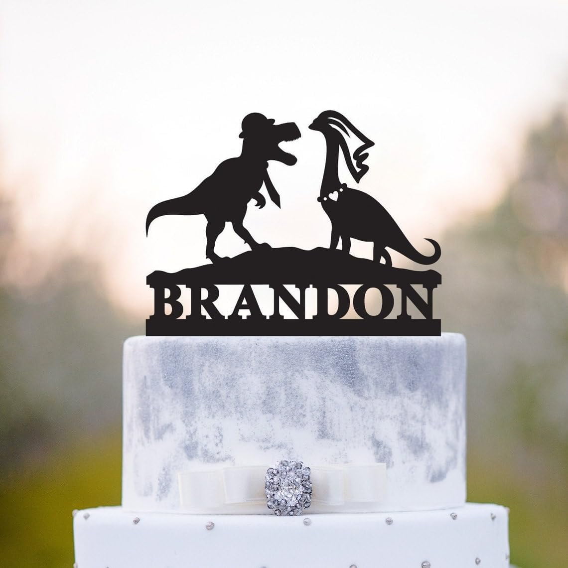 Dinosaur couple wedding cake topper,T rex girl dinosaur party wedding ...