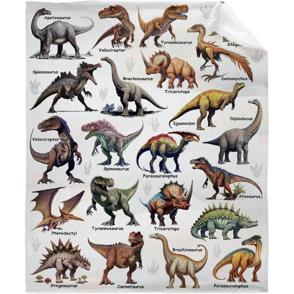 Dinosaurs Blanket Gifts Super Soft Lightweight Flannel Dinosaurs Bed ...
