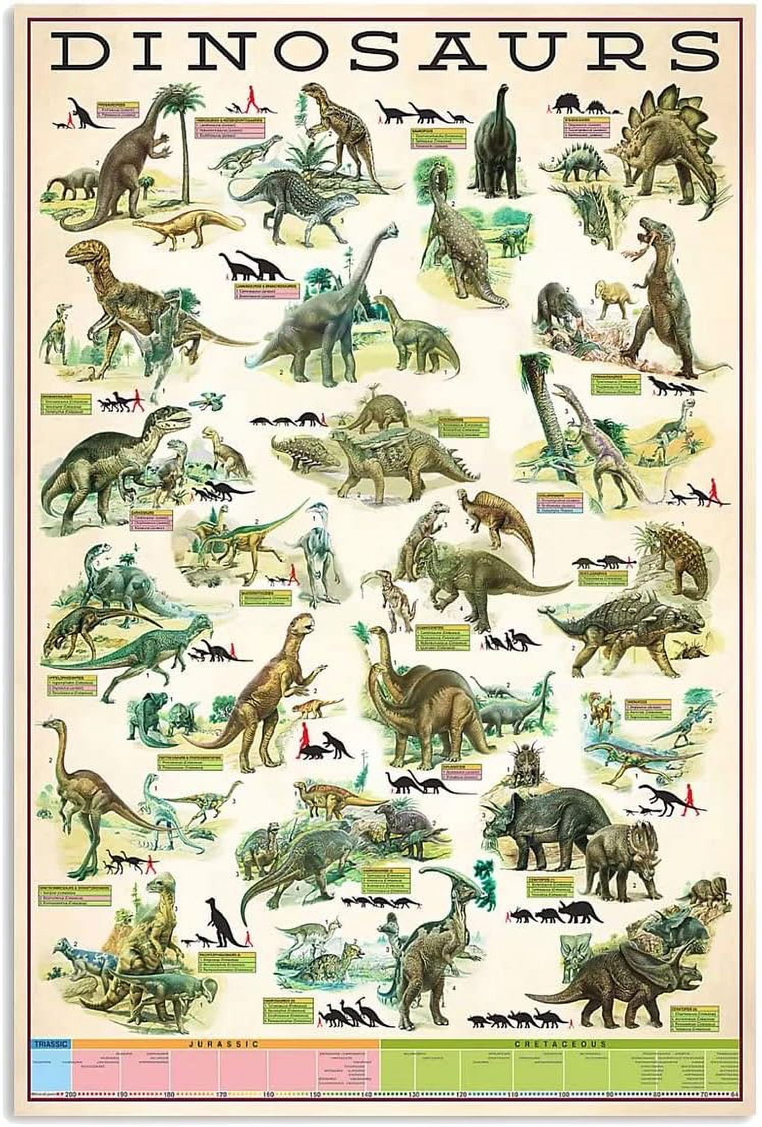 Dinosaurs Infographic Posters Dinosaur Knowledge Metal Signs Home Club ...
