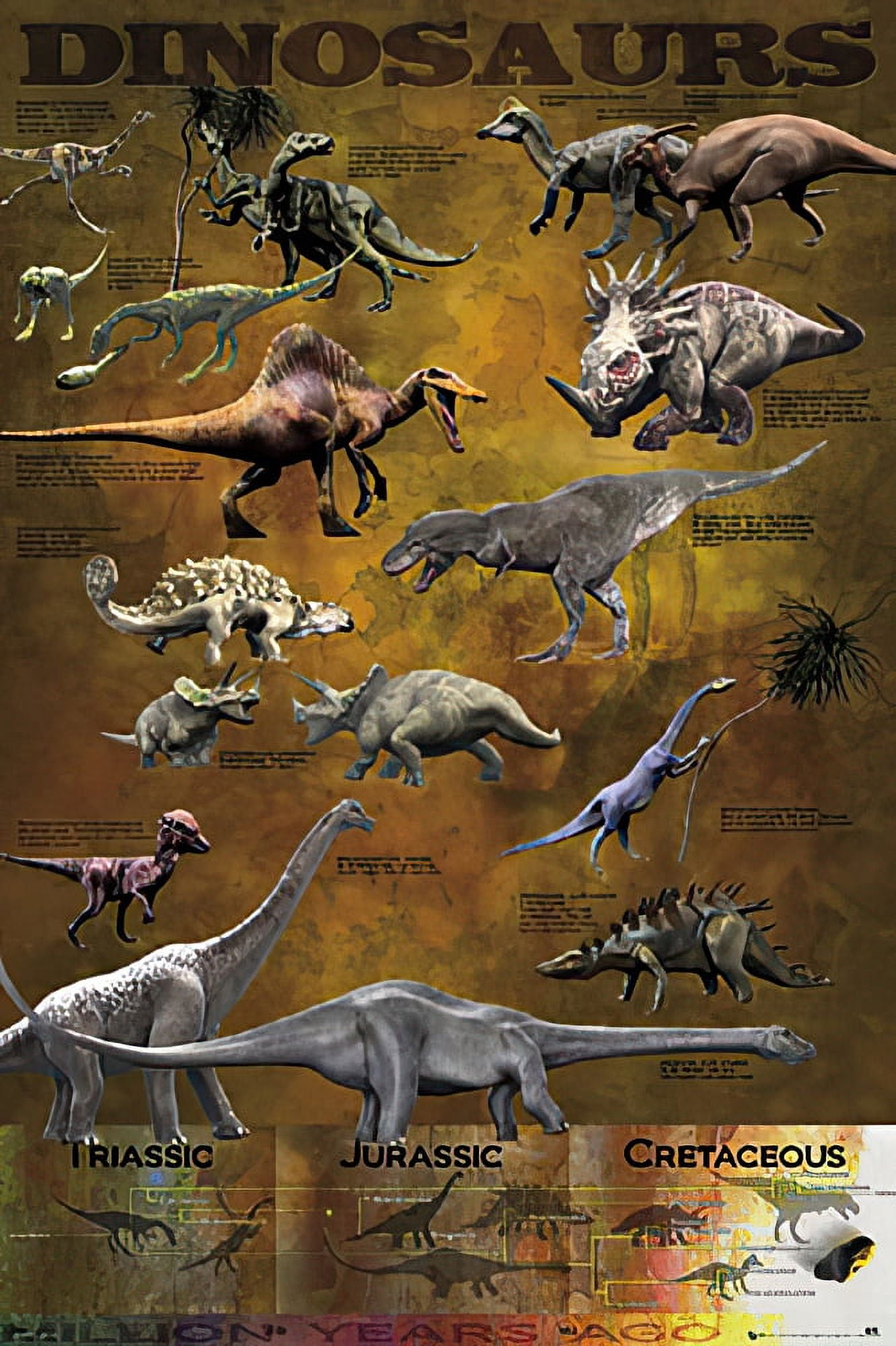 Dinosaurs - Poster / Print (Montage Of Different Dinosaurs With Names ...
