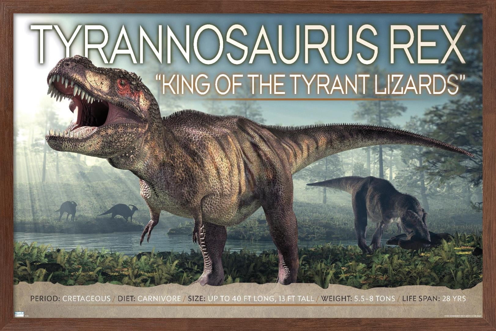 Dinosaurs - T-Rex Wall Poster, 22.375" x 34" Framed - Walmart.com